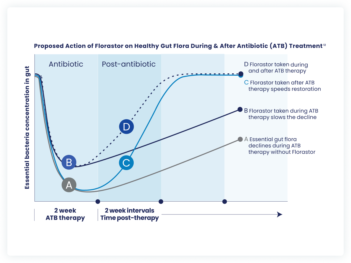 How Florastor® Protects Gut Flora During & After Antibiotics
